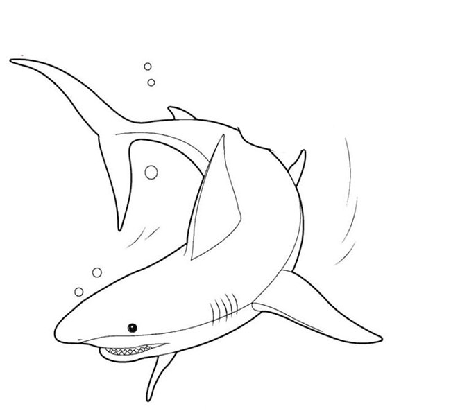 55+ Shark Shape Templates, Crafts & Colouring Pages