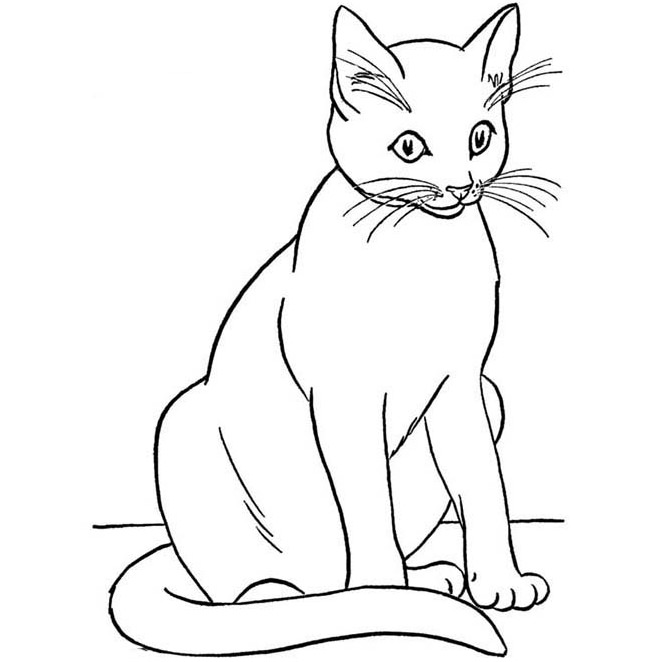 61+ Cat Shape Templates, Crafts And Colouring Pages
