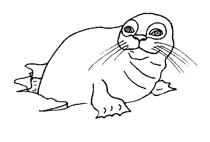 65+ Sea Creature Templates - Printable Crafts & Colouring Pages!