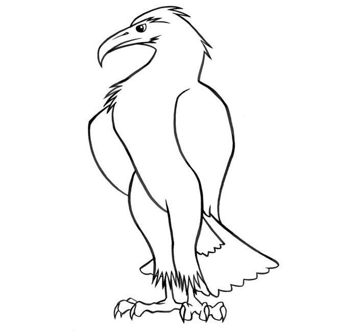 Eagle Template - Animal Templates