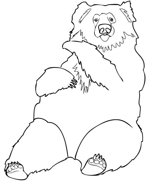 Bear Template - Animal Templates