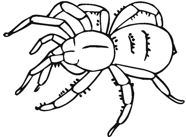 Spider Shape Template - 56+ Crafts & Colouring Pages | Free & Premium ...