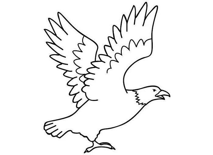 Eagle Template - Animal Templates