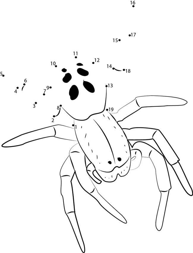 Spider Shape Template - 56+ Crafts & Colouring Pages