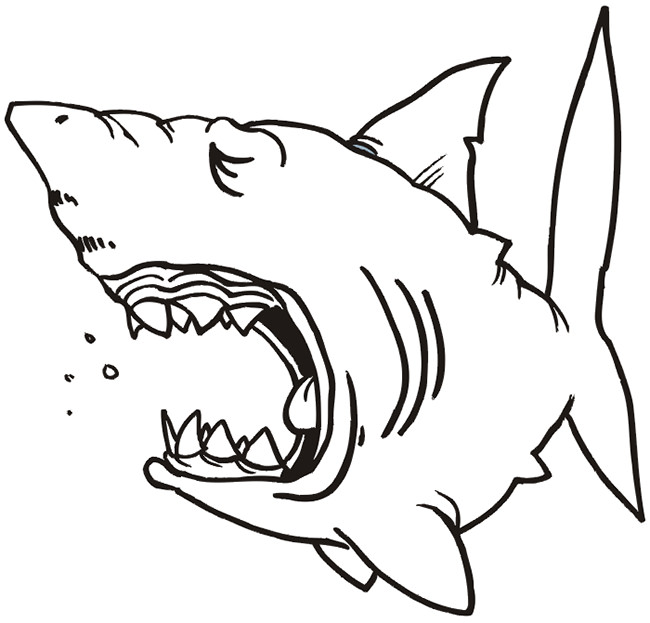 55+ Shark Shape Templates, Crafts & Colouring Pages