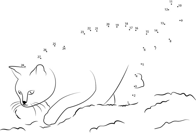 61+ Cat Shape Templates, Crafts And Colouring Pages