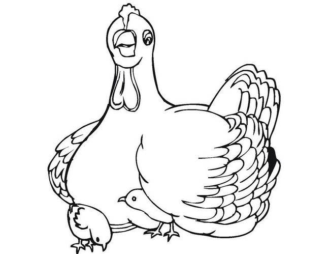 Chicken Template - Animal Templates