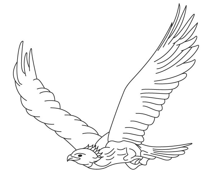Eagle Template - Animal Templates