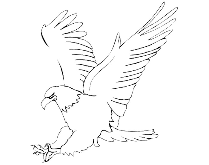 Eagle Template - Animal Templates | Free & Premium Templates