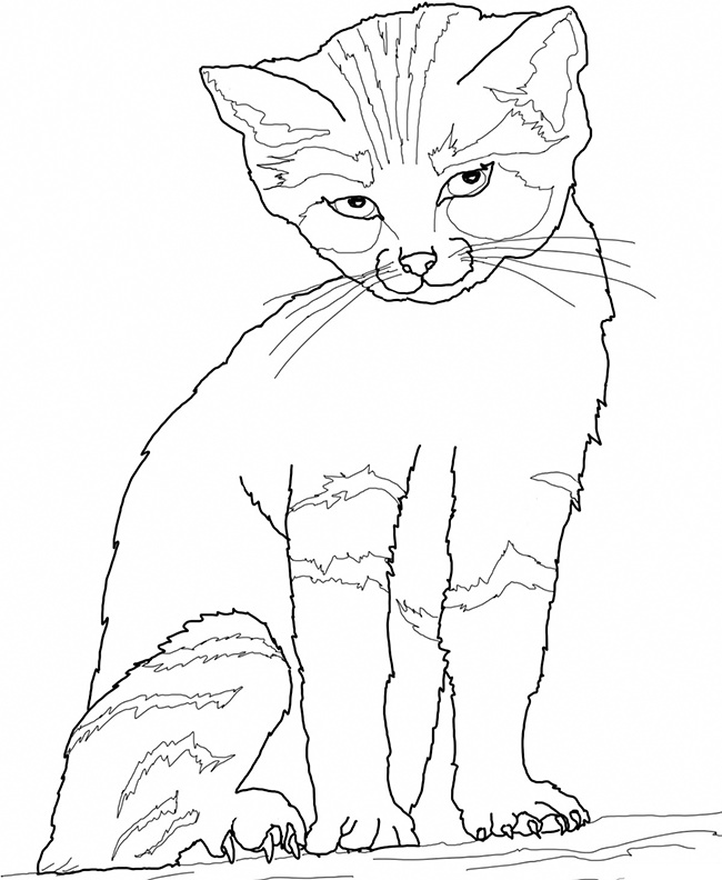 61+ Cat Shape Templates, Crafts And Colouring Pages