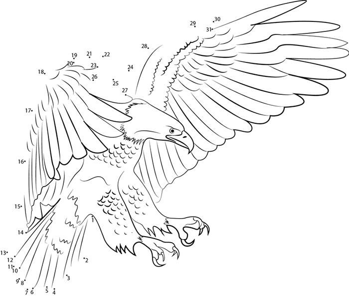 Eagle Template - Animal Templates