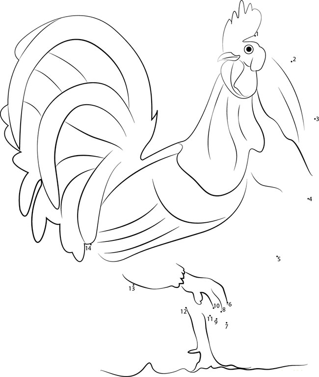 Chicken Template - Animal Templates