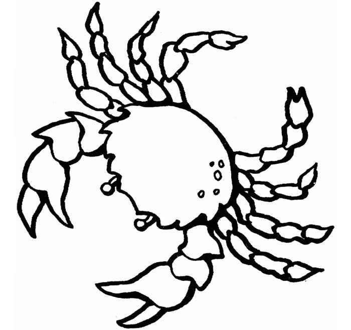 65 Sea Creature Templates Printable Crafts Colouring Pages Free 