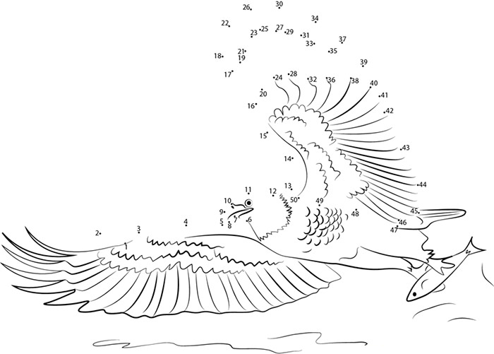 Eagle Template - Animal Templates