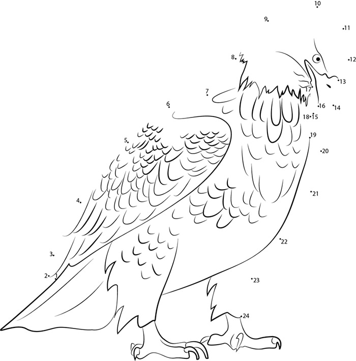 Eagle Template - Animal Templates