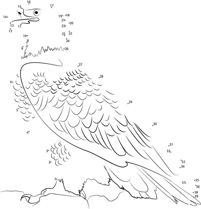 Eagle Template - Animal Templates