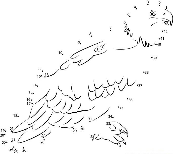 Eagle Template - Animal Templates