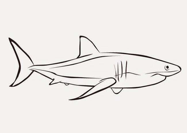 55+ Shark Shape Templates, Crafts & Colouring Pages
