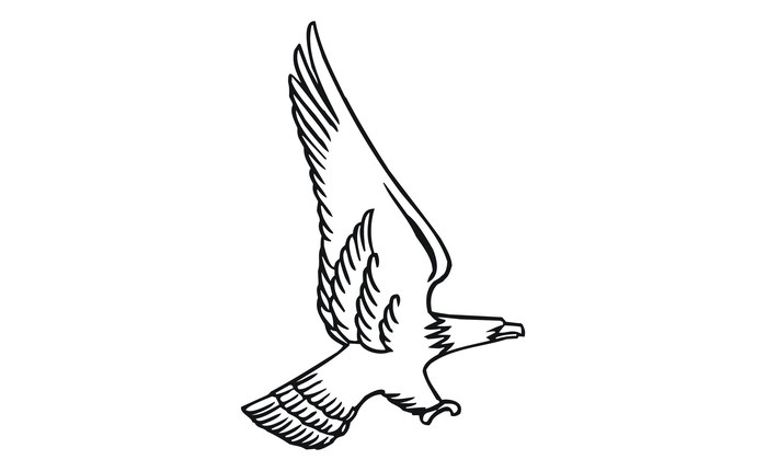 Eagle Template - Animal Templates | Free & Premium Templates