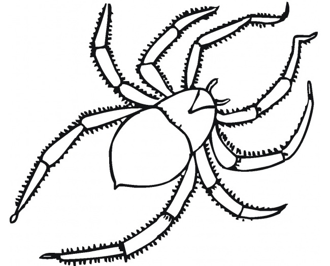 Spider Shape Template - 56+ Crafts & Colouring Pages | Free & Premium ...