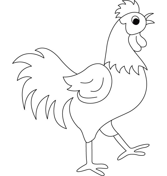 Chicken Template - Animal Templates
