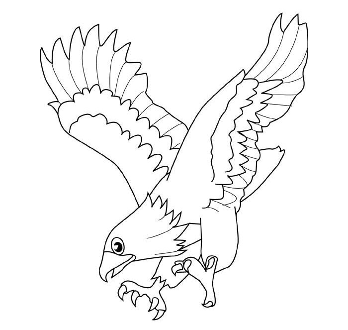 Eagle Template - Animal Templates