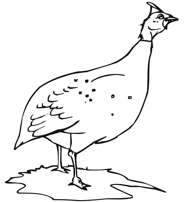 Chicken Template - Animal Templates