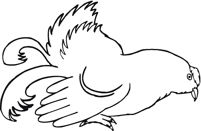 Chicken Template - Animal Templates