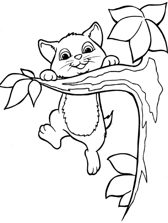 61+ Cat Shape Templates, Crafts And Colouring Pages