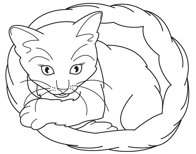 61+ Cat Shape Templates, Crafts And Colouring Pages