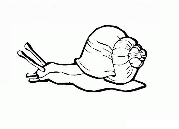 71+ Sea Creature Templates - Printable Crafts & Colouring Pages!