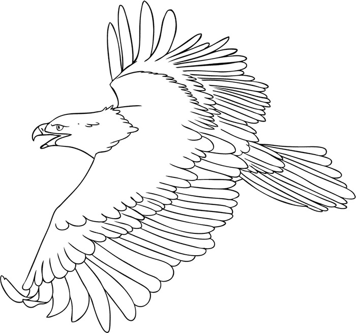 Eagle Template - Animal Templates