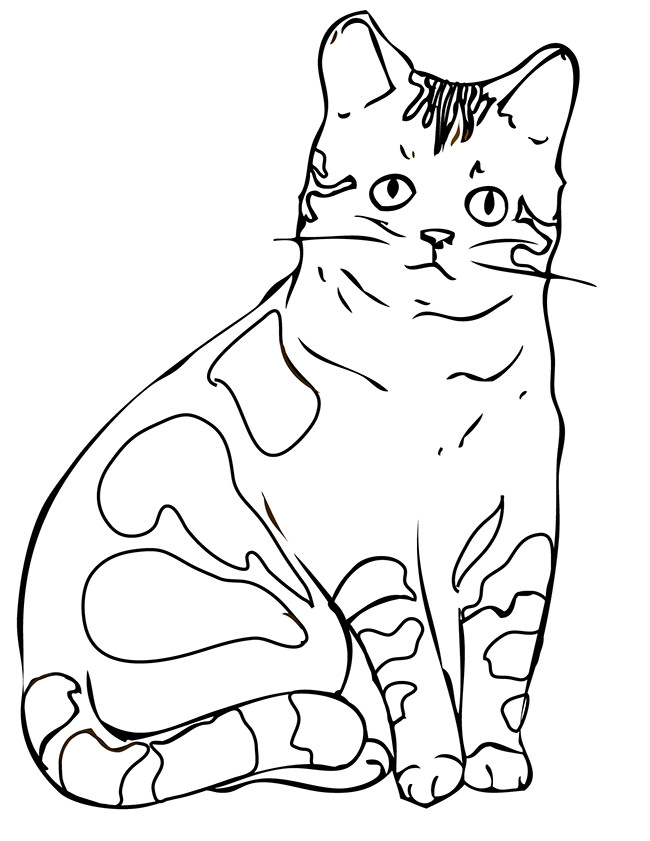 61+ Cat Shape Templates, Crafts And Colouring Pages