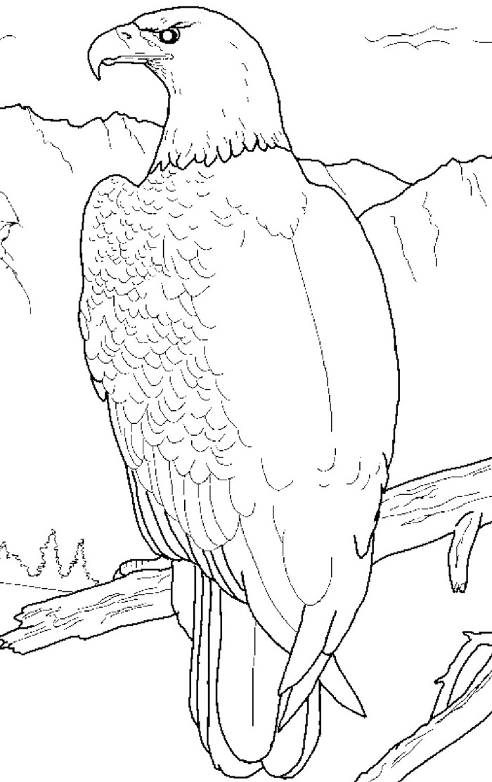 Eagle Template - Animal Templates