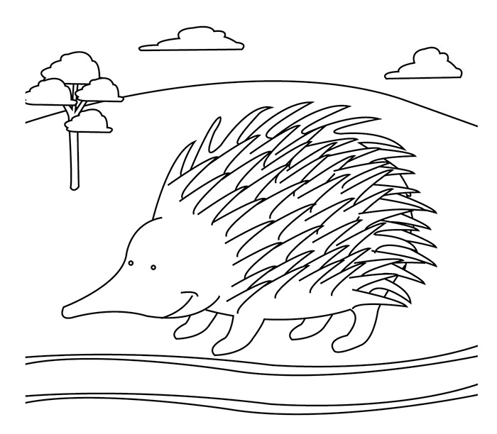 Australian Animal Template - Animal Templates | Free & Premium Templates