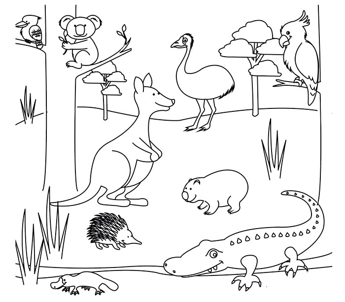 Australian Animal Template - Animal Templates | Free & Premium Templates