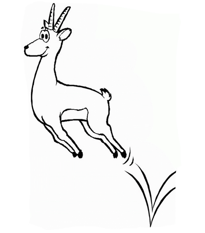 African Animal Template - Animal Templates