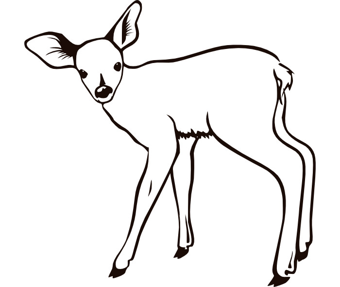 45 Deer Templates Animal Templates Free Premium Templates