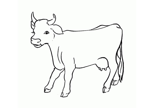 Cow Template - Animal Templates