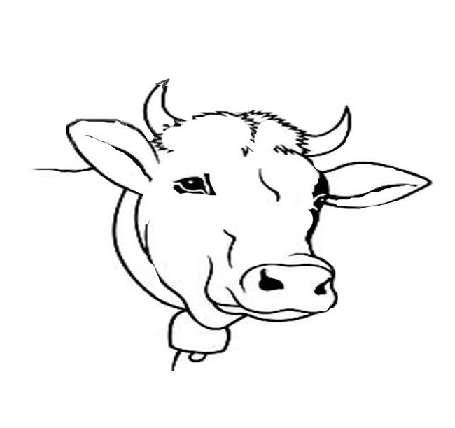 Cow Template - Animal Templates