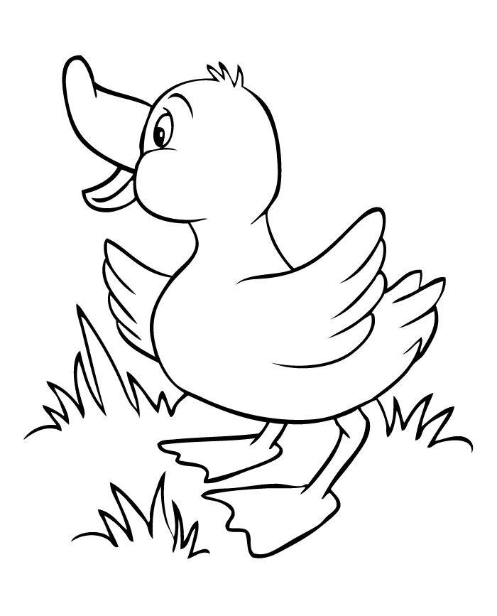 40+ Duck Shape Templates, Crafts And Colouring Pages