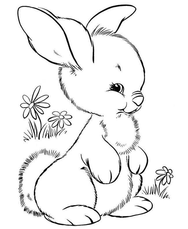60+ Rabbit Shape Templates and Crafts & Colouring Pages