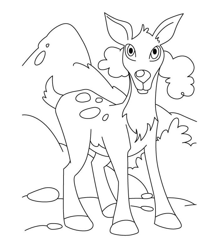 45+ Deer Templates - Animal Templates