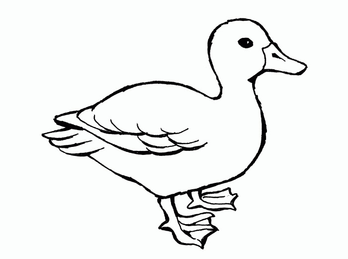 Duck Printable Template Printable World Holiday
