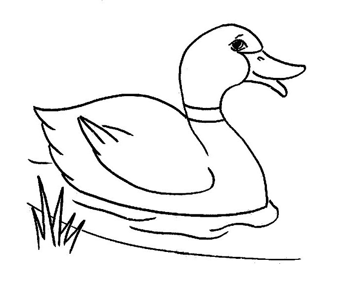 40+ Duck Shape Templates, Crafts And Colouring Pages