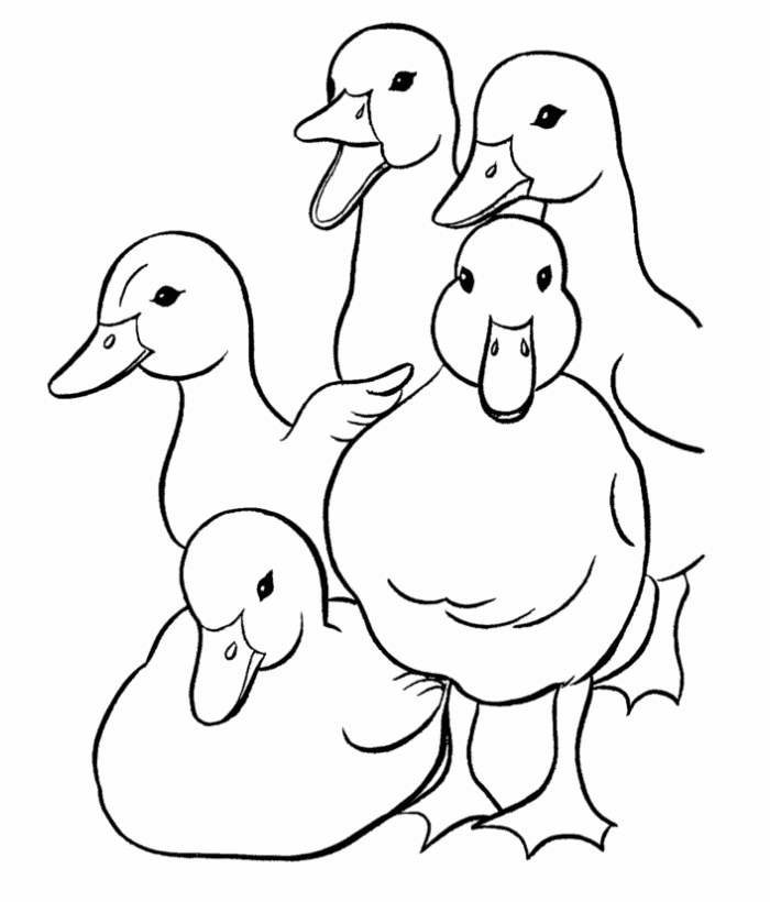 40+ Duck Shape Templates, Crafts And Colouring Pages