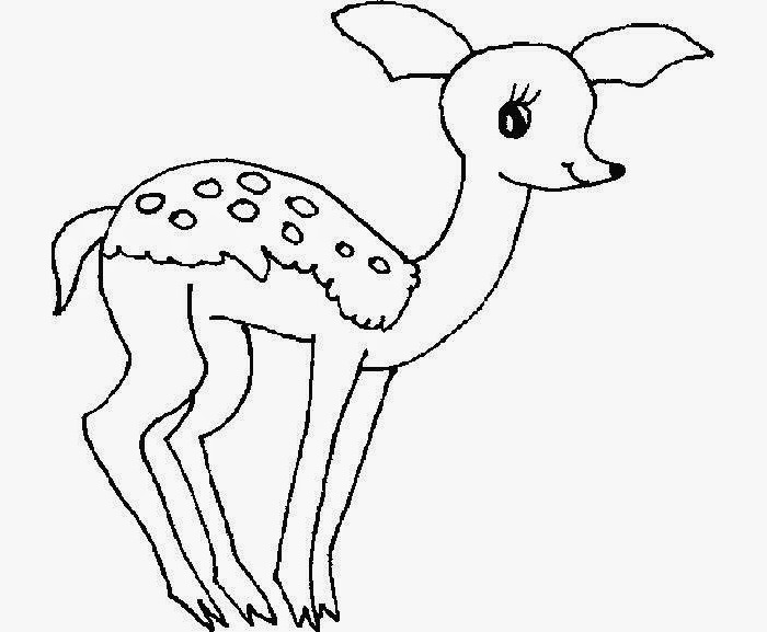 45+ Deer Templates - Animal Templates