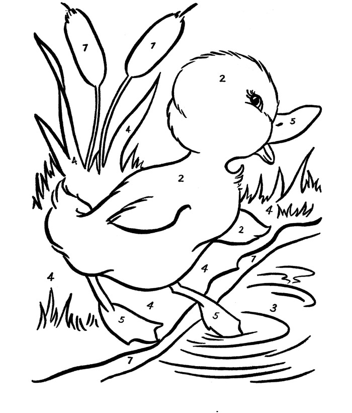 40+ Duck Shape Templates, Crafts And Colouring Pages