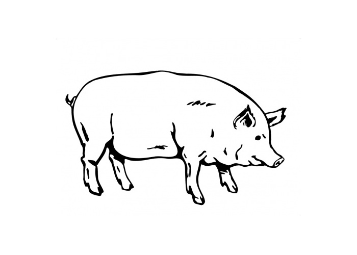 40+ Pig Shape Templates, Crafts And Colouring Pages
