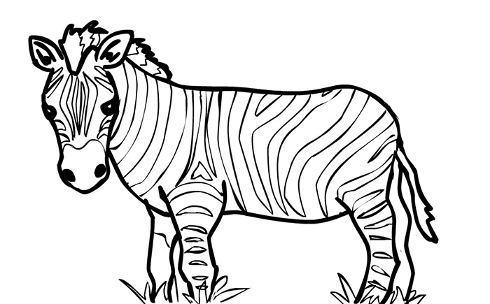 40 Zebra Templates Free PSD Vector EPS PNG Format Download Free 